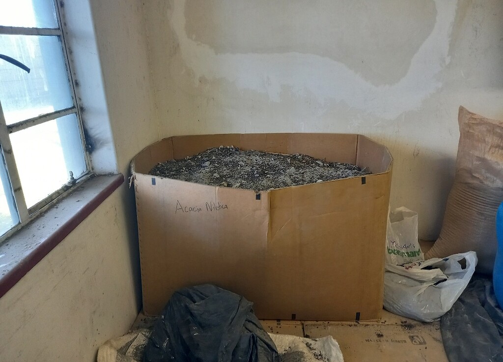 Grass seed bulk - Seed Production and Storage - ECHOcommunity Conversations